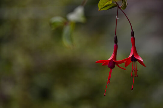 「Aljaba」の写真素材 | 16件の無料イラスト画像 | Adobe Stock