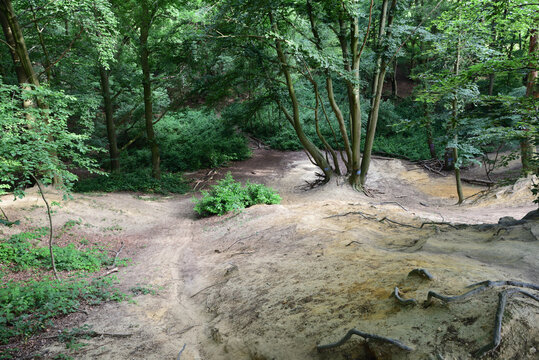 5,477 件の最適な Abhang 画像、ストック写真、ベクター | Adobe Stock