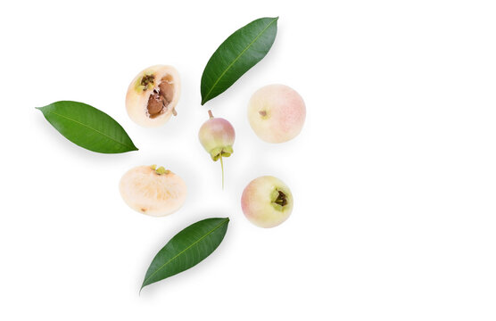 Jambo Images – Browse 637 Stock Photos, Vectors, and Video | Adobe Stock