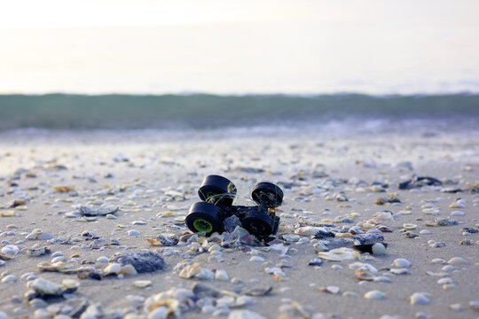 รูปภาพShelly – เลือกดูภาพถ่ายสต็อก เวกเตอร์ และวิดีโอ1,687 | Adobe Stock