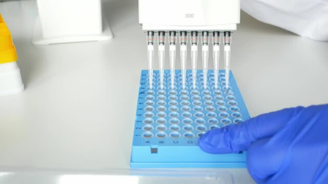 Multipipette Images – Browse 503 Stock Photos, Vectors, and Video ...