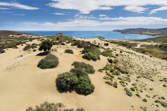 「Gomati」の画像 - 38 件の Stock 写真、ベクターおよびビデオ | Adobe Stock