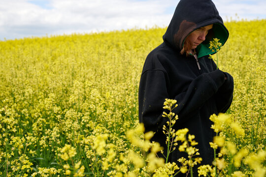 Hid Images – Browse 1,016,786 Stock Photos, Vectors, and Video | Adobe ...