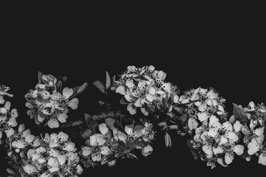 Lilla Bilder – Durchsuchen 6,118 Archivfotos, Vektorgrafiken und Videos ...