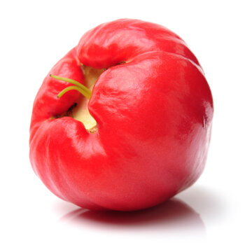 Lian-Woo Images – Browse 59 Stock Photos, Vectors, and Video | Adobe Stock