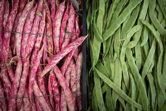 Tegoline Images – Browse 173 Stock Photos, Vectors, and Video | Adobe Stock