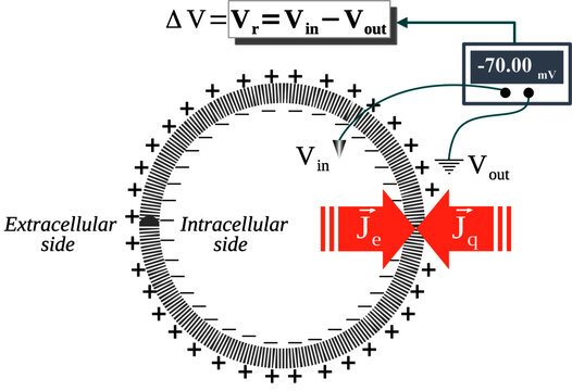 Potentialausgleich Bilder – Durchsuchen 828 Archivfotos, Vektorgrafiken ...