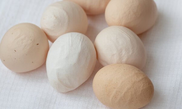 Egg Shell Texture Images – Browse 31,469 Stock Photos, Vectors, and ...