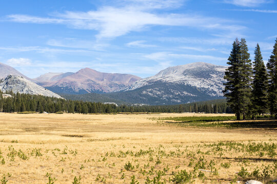 "Wide Open Spaces" Images – Browse 2,087 Stock Photos, Vectors, and ...