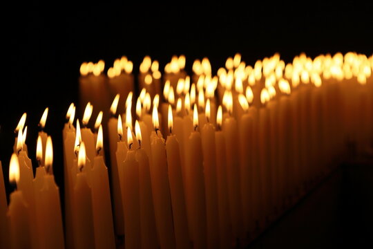 굽기 Images – Browse 793 Stock Photos, Vectors, and Video | Adobe Stock