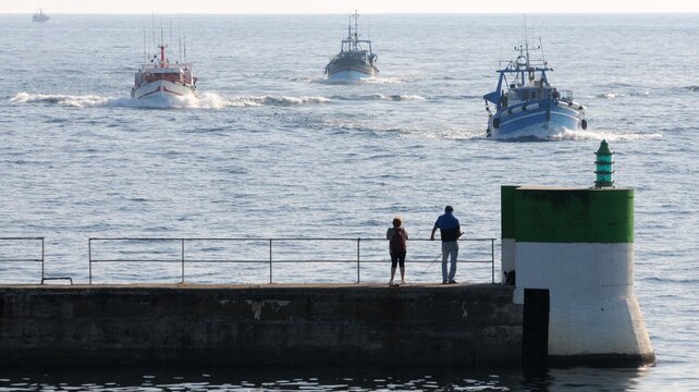 「Capitaine」の画像 - 1,346 件の Stock 写真、ベクターおよびビデオ | Adobe Stock