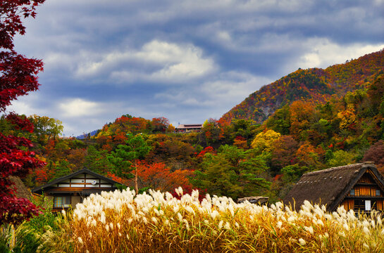 รูปภาพZukuri – เลือกดูภาพถ่ายสต็อก เวกเตอร์ และวิดีโอ1,562 | Adobe Stock