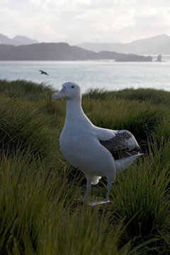 รูปภาพPrion – เลือกดูภาพถ่ายสต็อก เวกเตอร์ และวิดีโอ878 | Adobe Stock