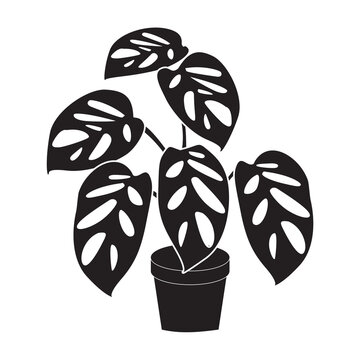 รูปภาพJanda – เลือกดูภาพถ่ายสต็อก เวกเตอร์ และวิดีโอ141 | Adobe Stock