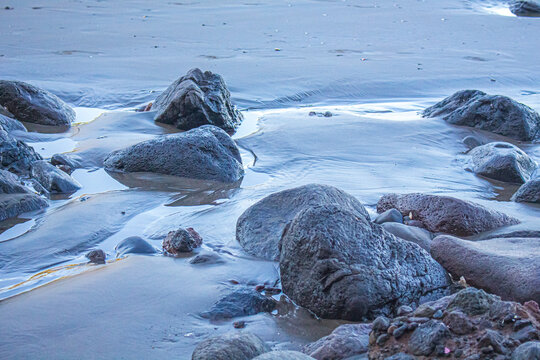 รูปภาพOrilla – เลือกดูภาพถ่ายสต็อก เวกเตอร์ และวิดีโอ35,650 | Adobe Stock