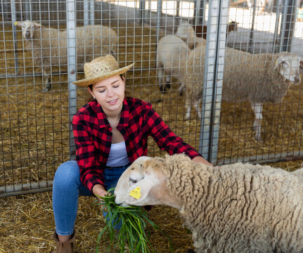 Imágenes de Aprisco: descubre bancos de fotos, ilustraciones, vectores ...