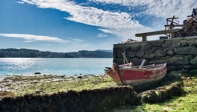 Faenar Bilder – Durchsuchen 369 Archivfotos, Vektorgrafiken und Videos ...