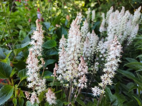 รูปภาพSkyrocket – เลือกดูภาพถ่ายสต็อก เวกเตอร์ และวิดีโอ57,435 | Adobe ...