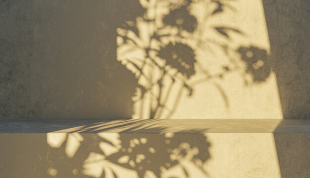 "Shadow Background" Images – Browse 1,678 Stock Photos, Vectors, and ...