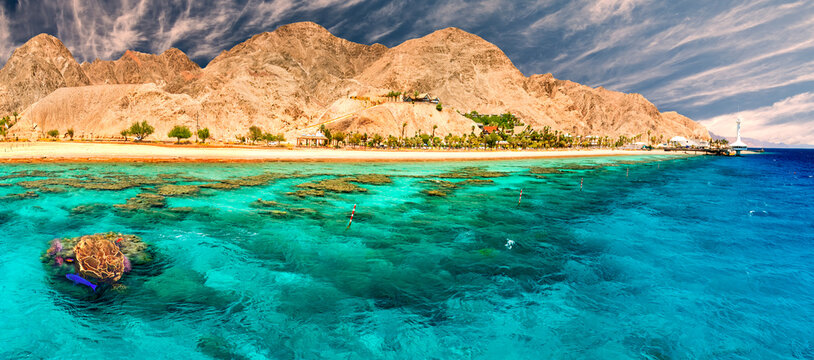 "Tropical Marine Climate" Images – Browse 44 Stock Photos, Vectors, and ...