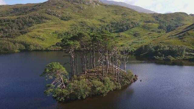 Dumbledore Images – Browse 518 Stock Photos, Vectors, and Video | Adobe ...