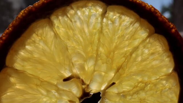 รูปภาพExocarp – เลือกดูภาพถ่ายสต็อก เวกเตอร์ และวิดีโอ2,877 | Adobe Stock