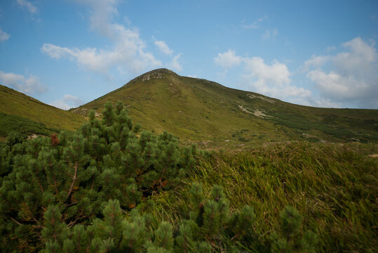 รูปภาพTurkul – เลือกดูภาพถ่ายสต็อก เวกเตอร์ และวิดีโอ206 | Adobe Stock
