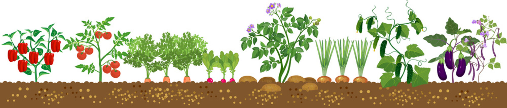 Vegetable Garden Clipart Border | Fasci Garden