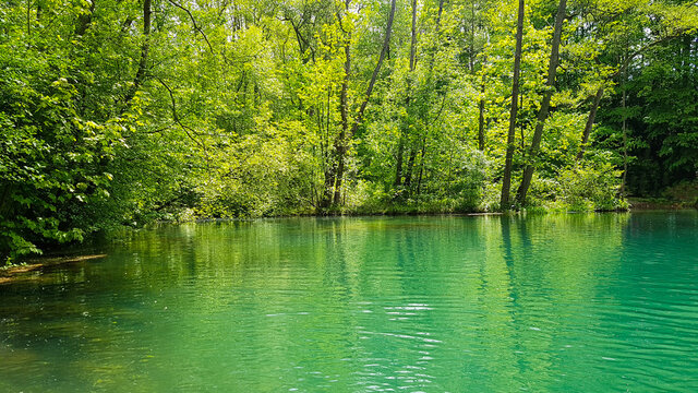 Rhuma Images – Browse 7 Stock Photos, Vectors, and Video | Adobe Stock