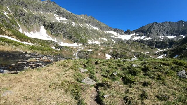 Intensify Imagens – Procure 3,790 fotos, vetores e vídeos | Adobe Stock