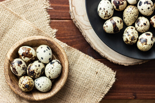 Vogelei Bilder – Durchsuchen 6,695 Archivfotos, Vektorgrafiken und ...