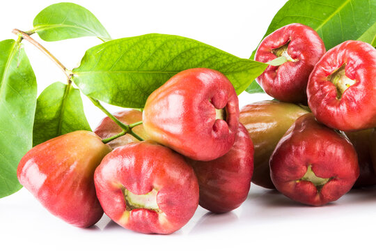 รูปภาพJamalac – เลือกดูภาพถ่ายสต็อก เวกเตอร์ และวิดีโอ2,352 | Adobe Stock