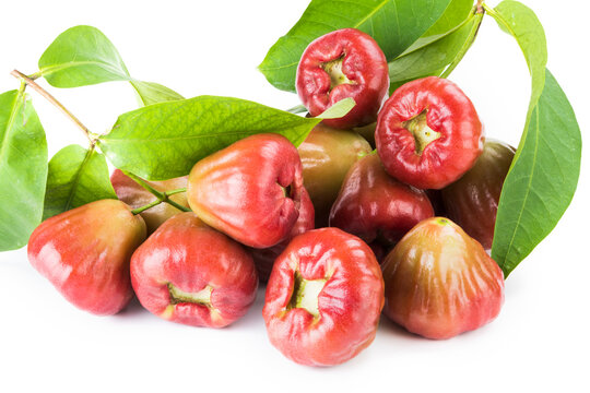 「Jamalac」の画像 - 2,173 件の Stock 写真、ベクターおよびビデオ | Adobe Stock