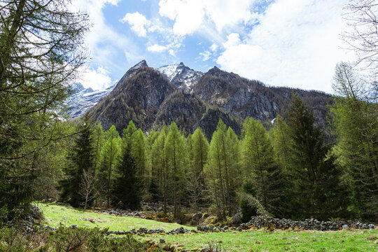 Imágenes de "Val Codera": descubre bancos de fotos, ilustraciones ...