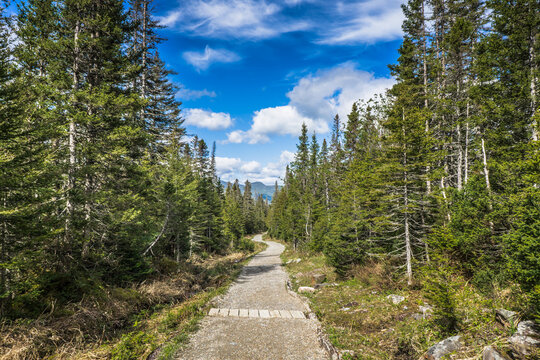 Trogtal Bilder – Durchsuchen 1,725 Archivfotos, Vektorgrafiken und ...