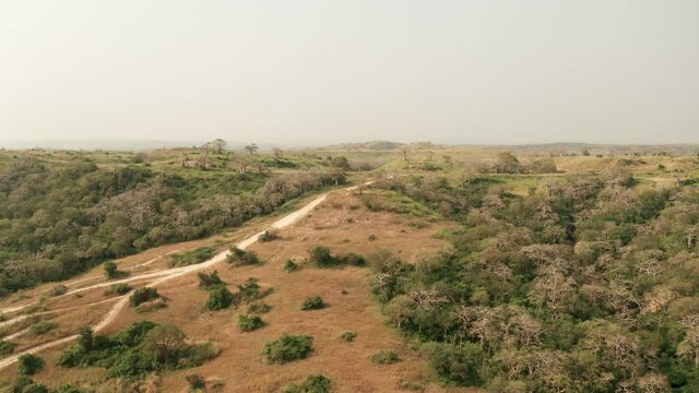 Embondeiro-Bilder: Stock-Fotos & -Videos. | Adobe Stock