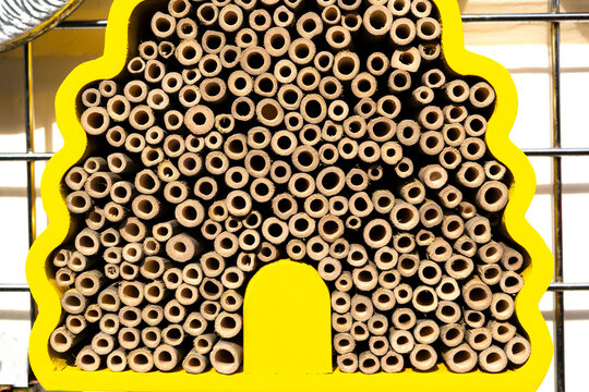 "Bug House" Images – Browse 427 Stock Photos, Vectors, and Video ...