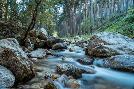 「Afforest」の写真素材 | 46,113件の無料イラスト画像 | Adobe Stock