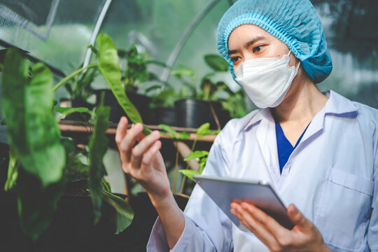 Botanist Images – Browse 66,039 Stock Photos, Vectors, and Video ...