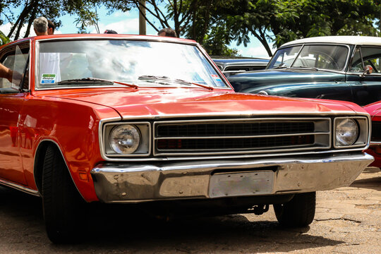 Opala Images – Browse 91 Stock Photos, Vectors, and Video | Adobe Stock