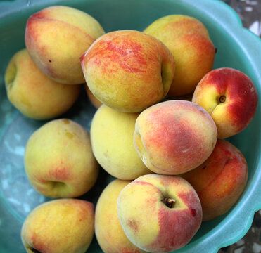 รูปภาพPersipan – เลือกดูภาพถ่ายสต็อก เวกเตอร์ และวิดีโอ144 | Adobe Stock