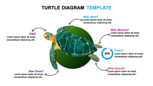 "Turtle Vector" Images – Browse 686 Stock Photos, Vectors, and Video ...