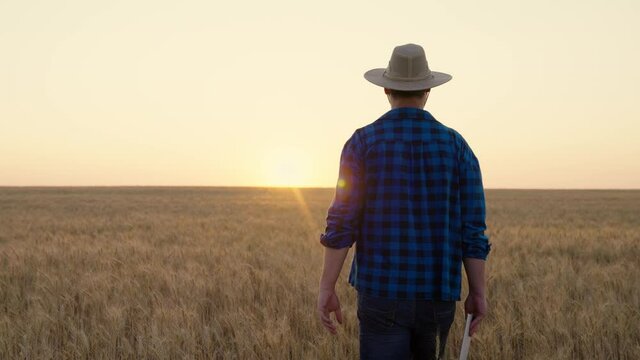 Agronomy Video Footage – Browse 99,968 HD Stock Video and Footage ...