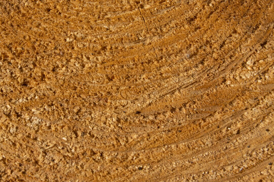 Marg bilder – Bläddra bland 43,766 stockfoton, vektorer och videor ...