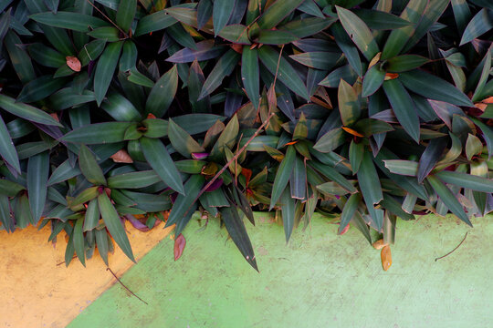 Moses-In-The-Cradle Images – Browse 142 Stock Photos, Vectors, and ...