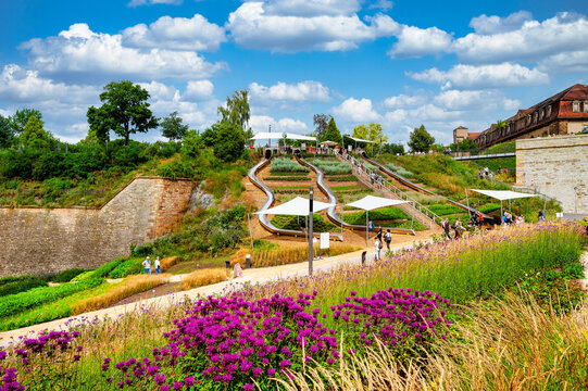 Buga Images – Browse 1,288 Stock Photos, Vectors, and Video | Adobe Stock