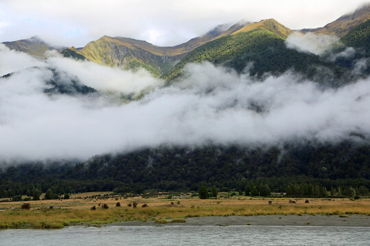 Haast Images – Parcourir 1,121 le catalogue de photos, vecteurs et ...
