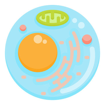 Cell Nucleus Icon Images – Browse 59,700 Stock Photos, Vectors, and ...