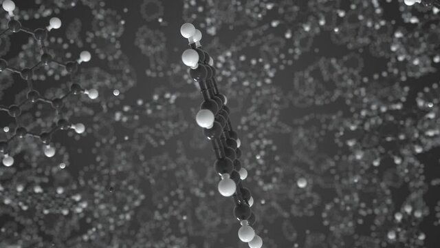 「Perilene」の写真素材 | 70件の無料イラスト画像 | Adobe Stock