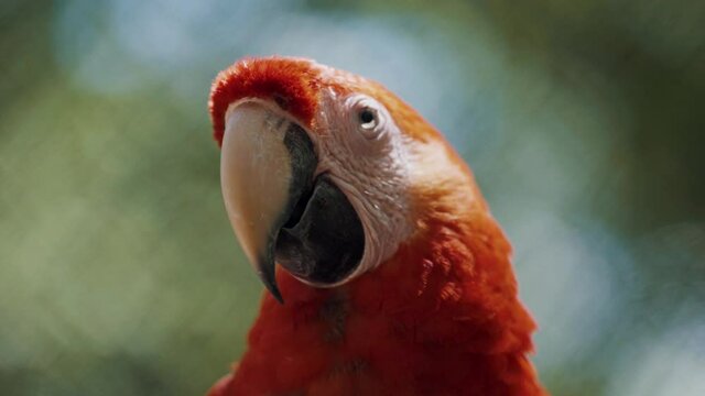 Magnificat Images – Parcourir 98 le catalogue de photos, vecteurs et ...